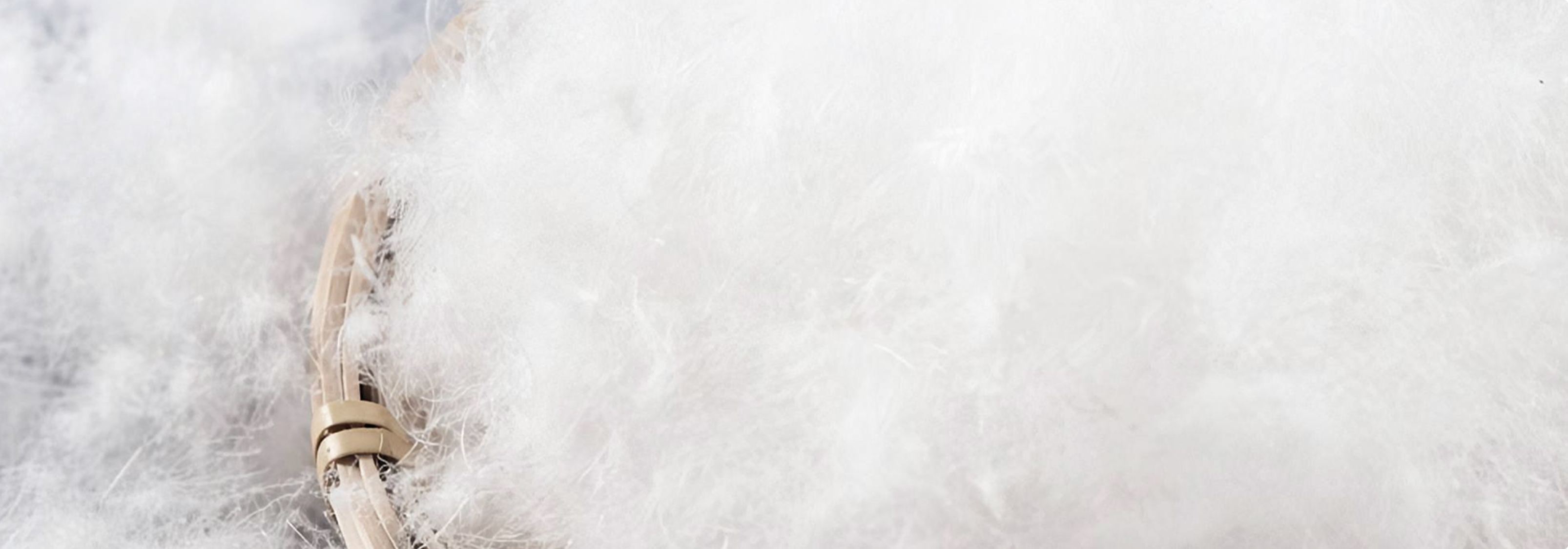 Down & Feather | Downplus